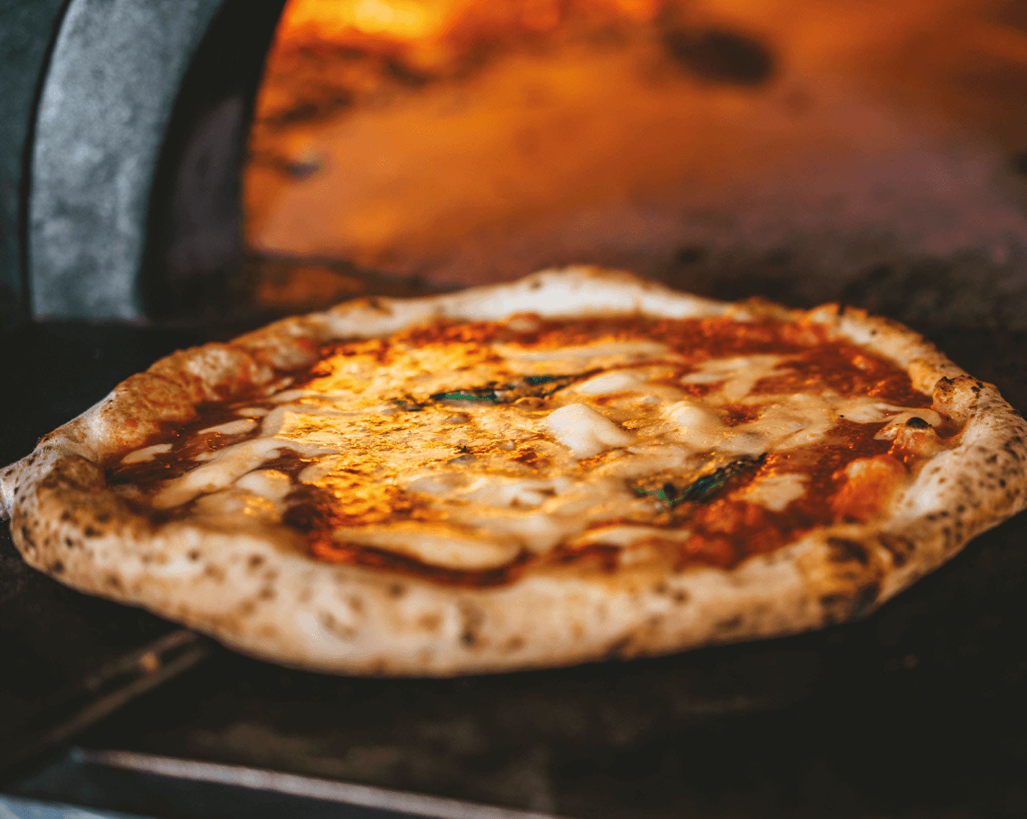 Home Little Wolf Takeaway